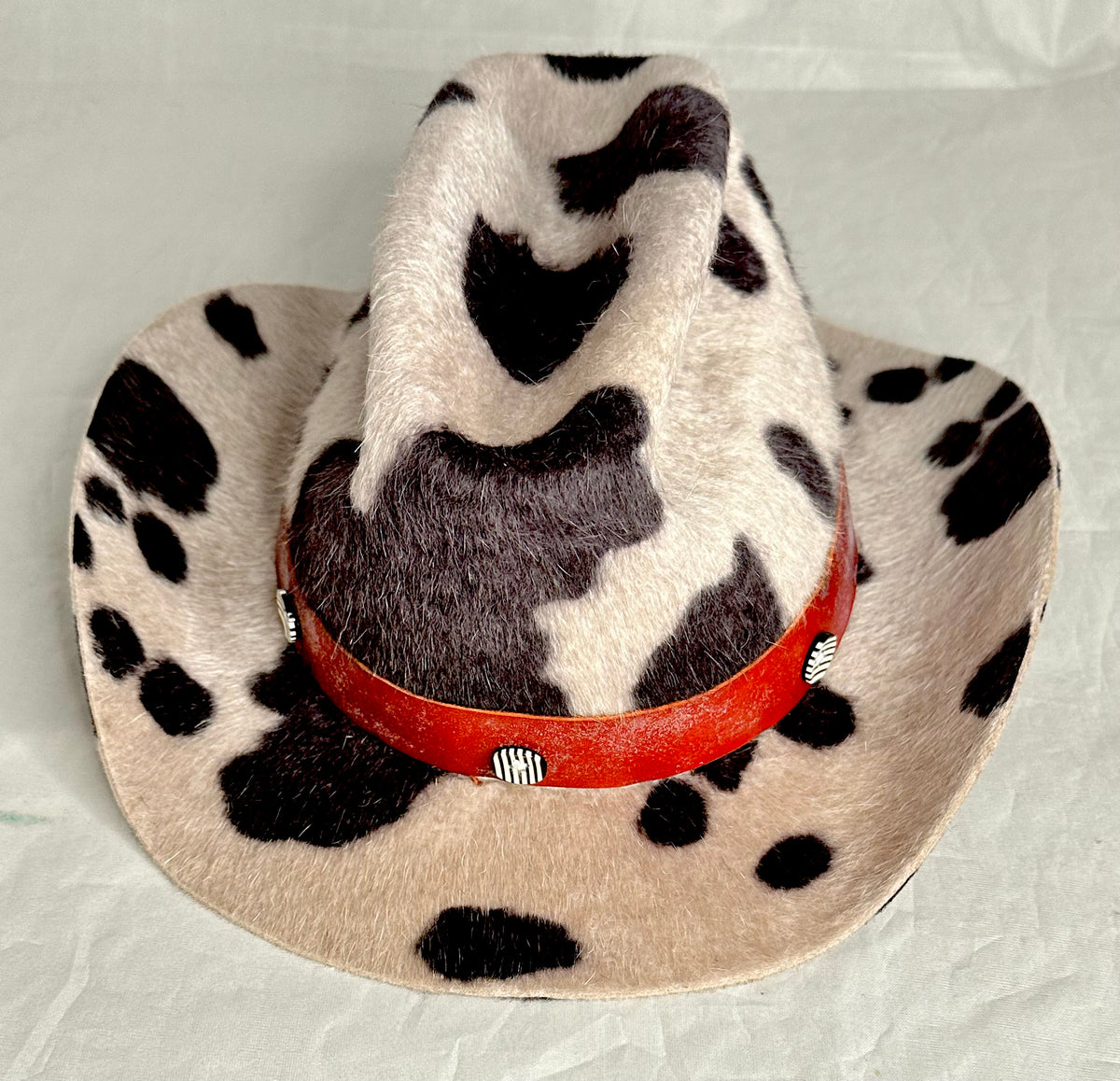 Raw Hide – Ted Jackson Collection