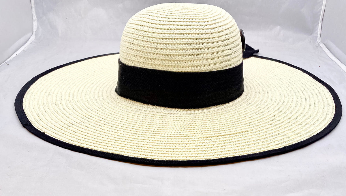 Beach Party – Ted Jackson Collection